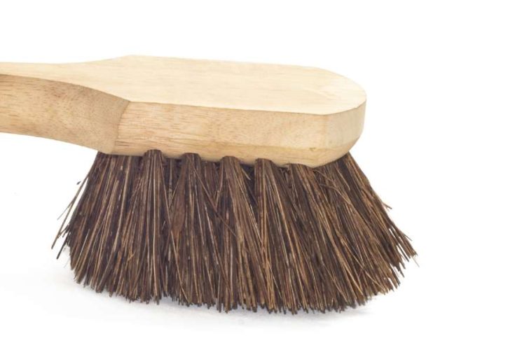 Escobetas Multiusos – Cepillos el Castor